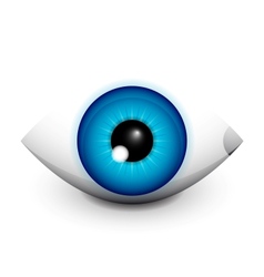Human eye icon cartoon style Royalty Free Vector Image