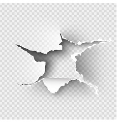 Hole torn in ripped paper on white Royalty Free Vector Image