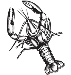 Crayfish color realistic image a river crab Vector Image