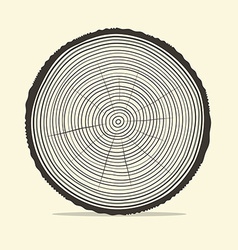 Tree trunk rings texture isolated Royalty Free Vector Image