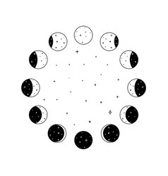 Lunar moon phases cycle all 28 shapes for each Vector Image