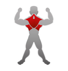 Human male muscles Royalty Free Vector Image - VectorStock
