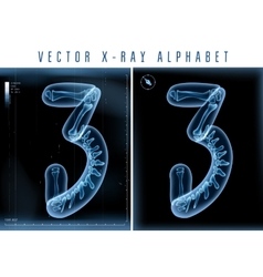 X-ray font transparent roentgen alphabet Vector Image