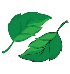Two green leaves cartoon icon Royalty Free Vector Image