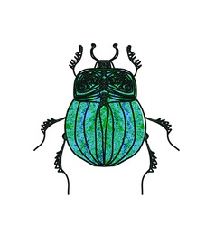 Weevil beetle Royalty Free Vector Image - VectorStock