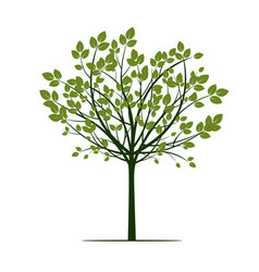 Spring tree Royalty Free Vector Image - VectorStock