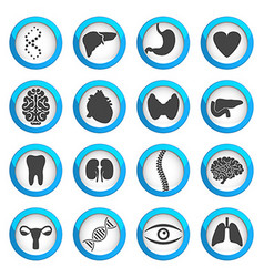 Human body systems Royalty Free Vector Image - VectorStock