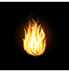 Green magic fire flame bonfire Royalty Free Vector Image