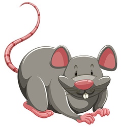 Cartoon rat waving hand Royalty Free Vector Image