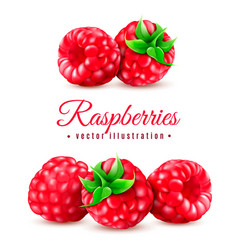 Raspberry fruit cartoon Royalty Free Vector Image