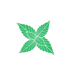 Mint fresh leaves template Royalty Free Vector Image