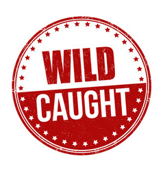 Friend sea sign or stamp Royalty Free Vector Image