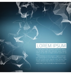 Polygonal wireframe mesh futuristic with rocket Vector Image