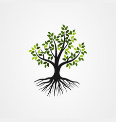 Tree with roots Royalty Free Vector Image - VectorStock