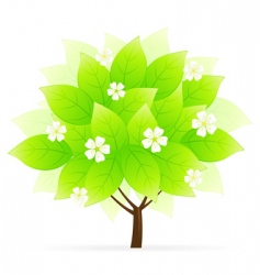 Tree symbols set Royalty Free Vector Image - VectorStock