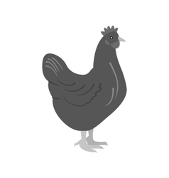 Brown spring chicken Royalty Free Vector Image