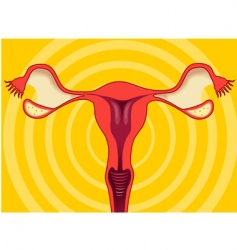 Cartoon with uterus health concept Royalty Free Vector Image