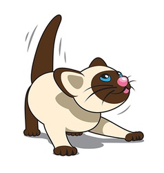 Different cat breeds cute kitty pet cartoon cute Vector Image