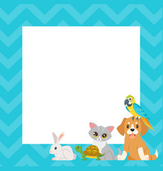 Video and photo frame background Royalty Free Vector Image