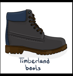 Military leather worn boots Royalty Free Vector Image