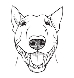 Bull terrier Royalty Free Vector Image - VectorStock