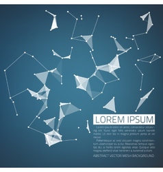 Polygonal wireframe mesh futuristic with rocket Vector Image