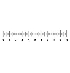 Measuring rulers school ruler metric scale Vector Image