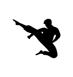 Fists fight mma kick boxing karate rebel Vector Image