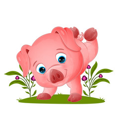 Pig Royalty Free Vector Image - VectorStock