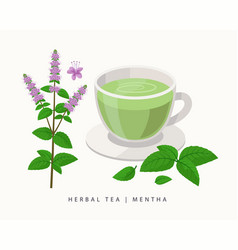 Herbal frame Royalty Free Vector Image - VectorStock