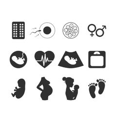 Pregnancy and birth infographics icon set Vector Image