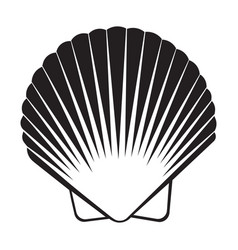 Beautiful shell isolated on white Royalty Free Vector Image