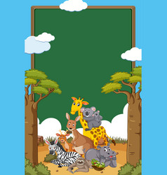 Wooden signs template with australian animals Vector Image