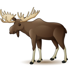 Cartoon happy moose with big horns Royalty Free Vector Image