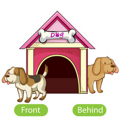 Opposite words with front and back Royalty Free Vector Image