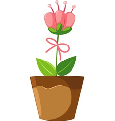 Yellow flower in clay pot on white background Vector Image