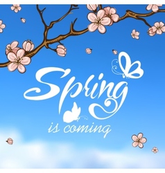 Spring background Royalty Free Vector Image - VectorStock