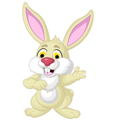 Happy rabbit cartoon isolated on white background Vector Image