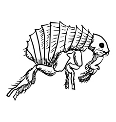 Cartoon flea isolated on white background Vector Image