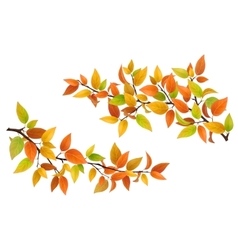 Autumn nature branch Royalty Free Vector Image