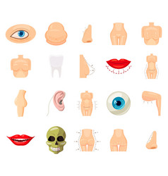 Body parts icons set cartoon style Royalty Free Vector Image