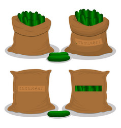 A sack of green avocado Royalty Free Vector Image