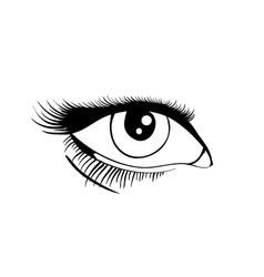 Beautiful lady eye sketch Royalty Free Vector Image