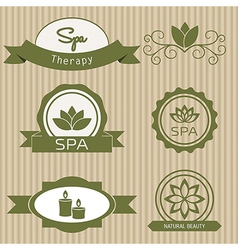 Spa therapy Royalty Free Vector Image - VectorStock