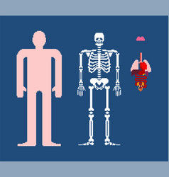 Rib cage pixel art bones anatomy 8 bit pixelate Vector Image
