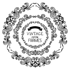 Calligraphic flower design elements and page decor vector by ...