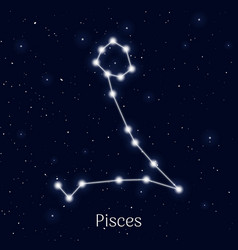Constellation stars zodiac signs in space Vector Image