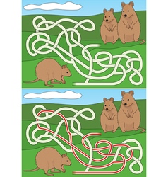 Easy grapes maze Royalty Free Vector Image - VectorStock