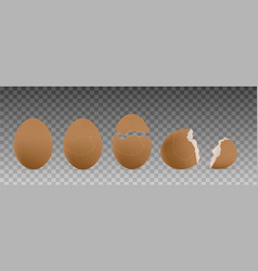 Whole and cracked broken chicken egg with yolk Vector Image