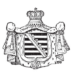 Royal blazon - luxurious coat of arms with lion Vector Image